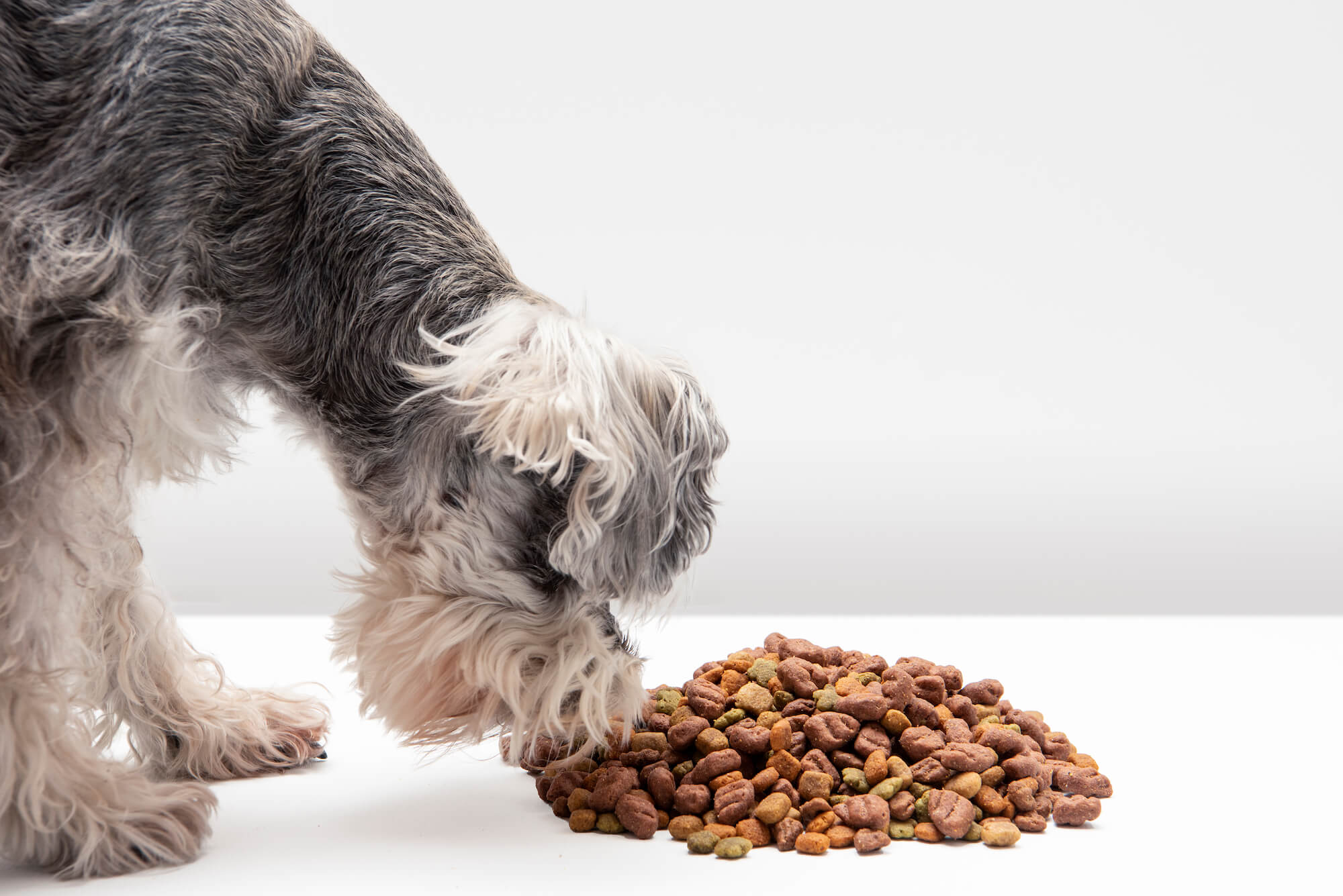 Introducing Natural Colours for Pet Food Formulations - Mari Pet Foods